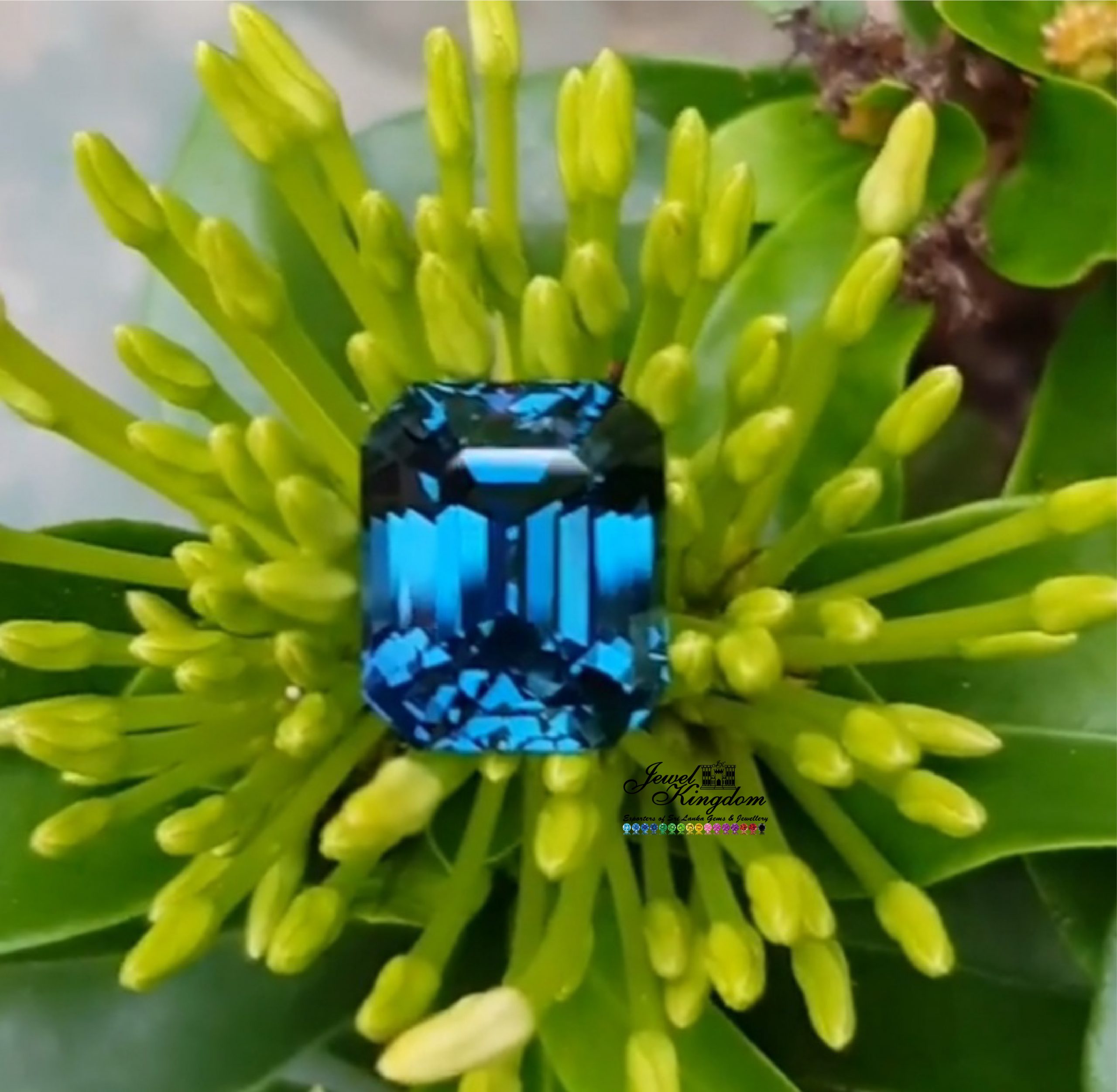 Why Sri Lanka – Jewel Kingdom