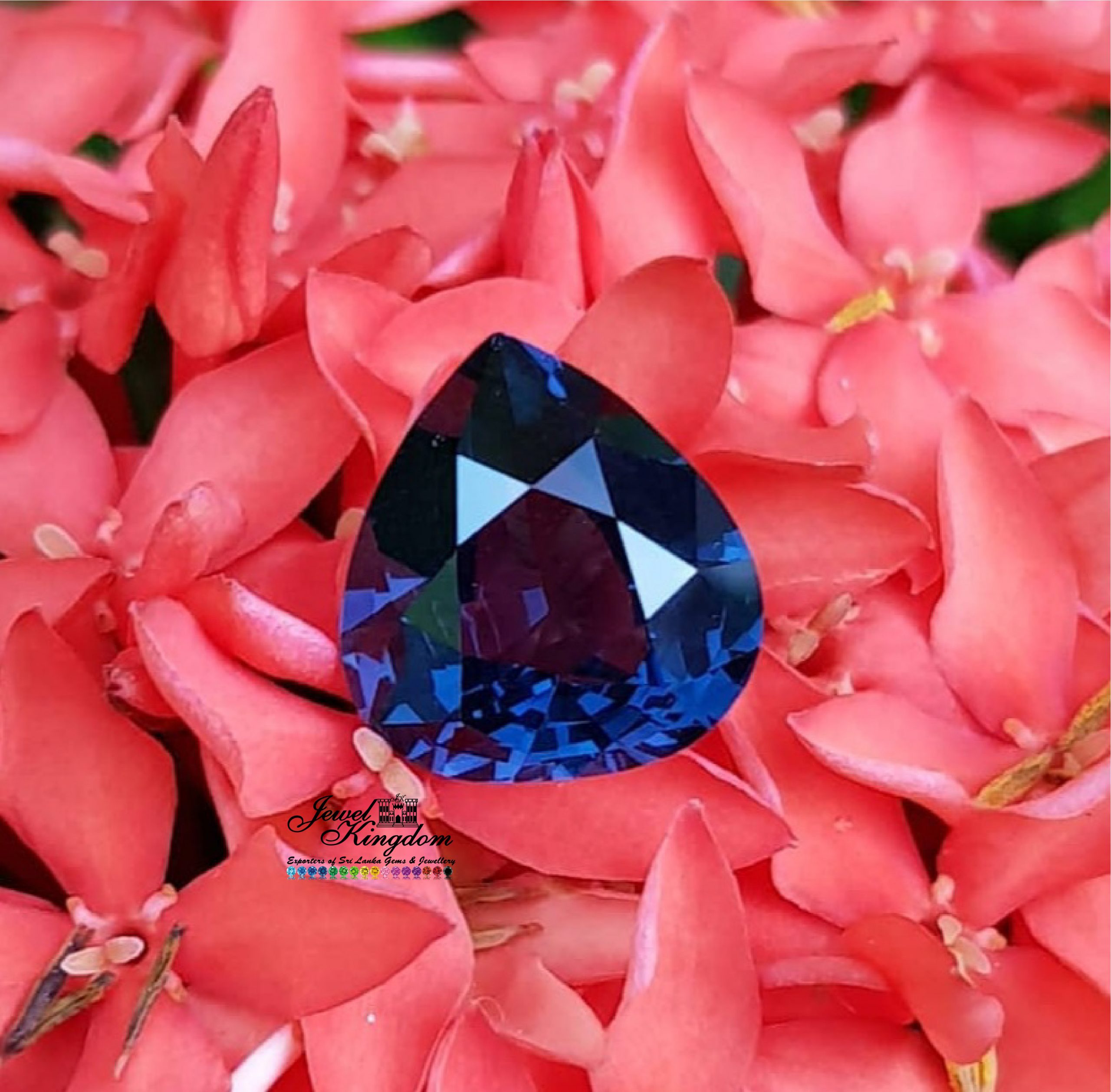 Why Sri Lanka – Jewel Kingdom